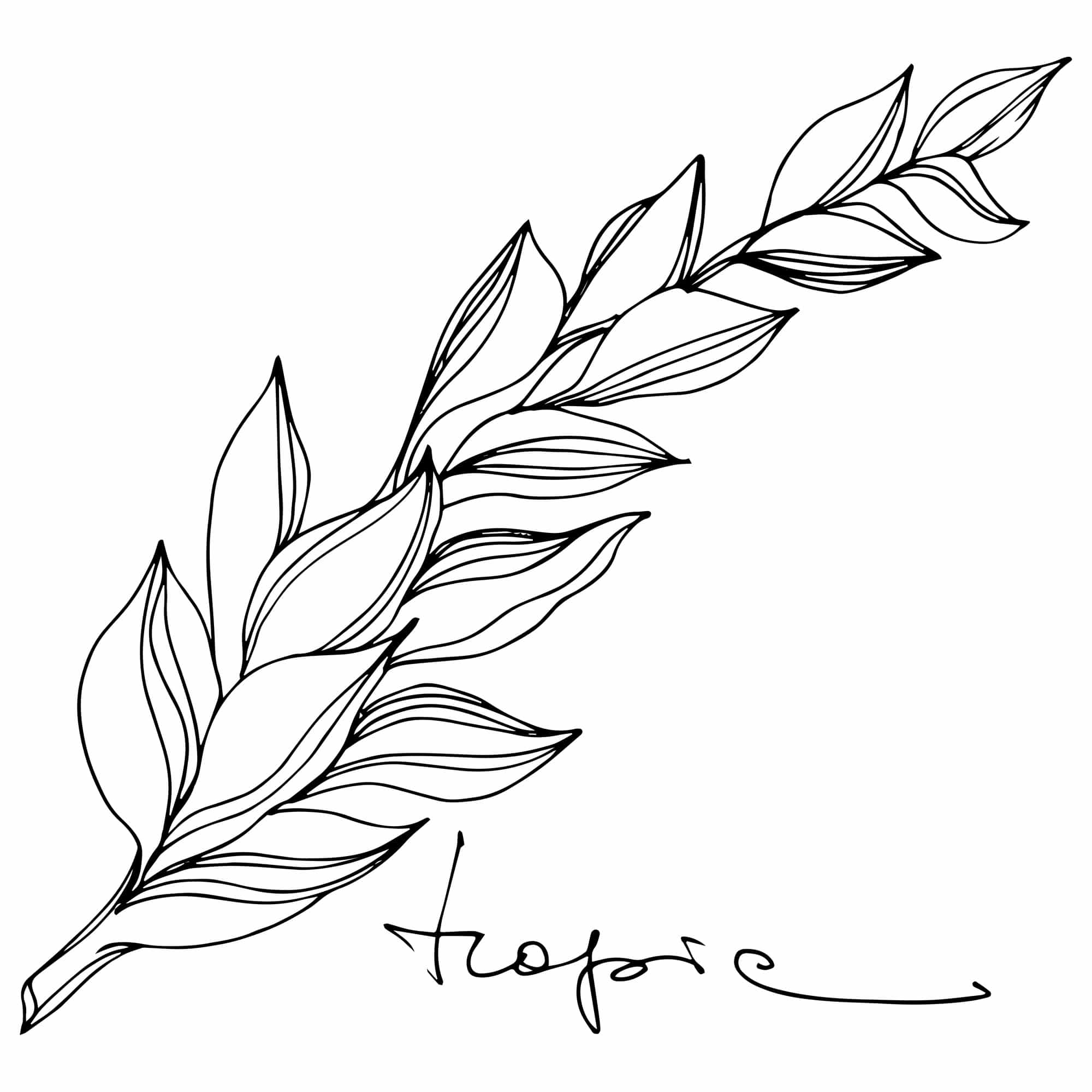 Custom Line Art Basics - Flocksy